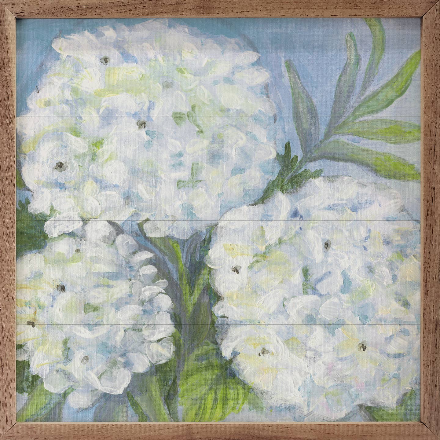 Limelight Hydrangeas | The Crest Cafe & Shoppe