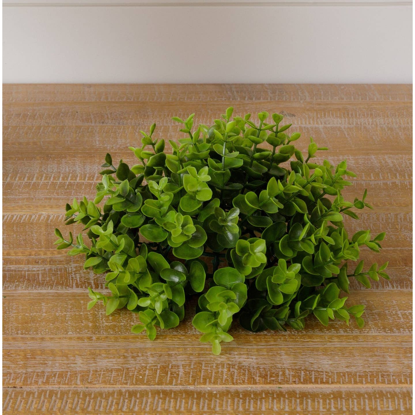 Boxwood Half Sphere | The Crest Cafe & Shoppe
