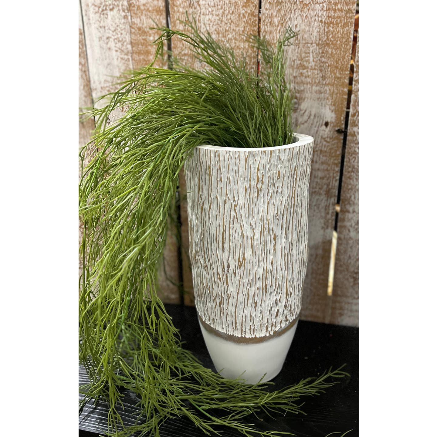 Asparagus Fern | The Crest Cafe & Shoppe