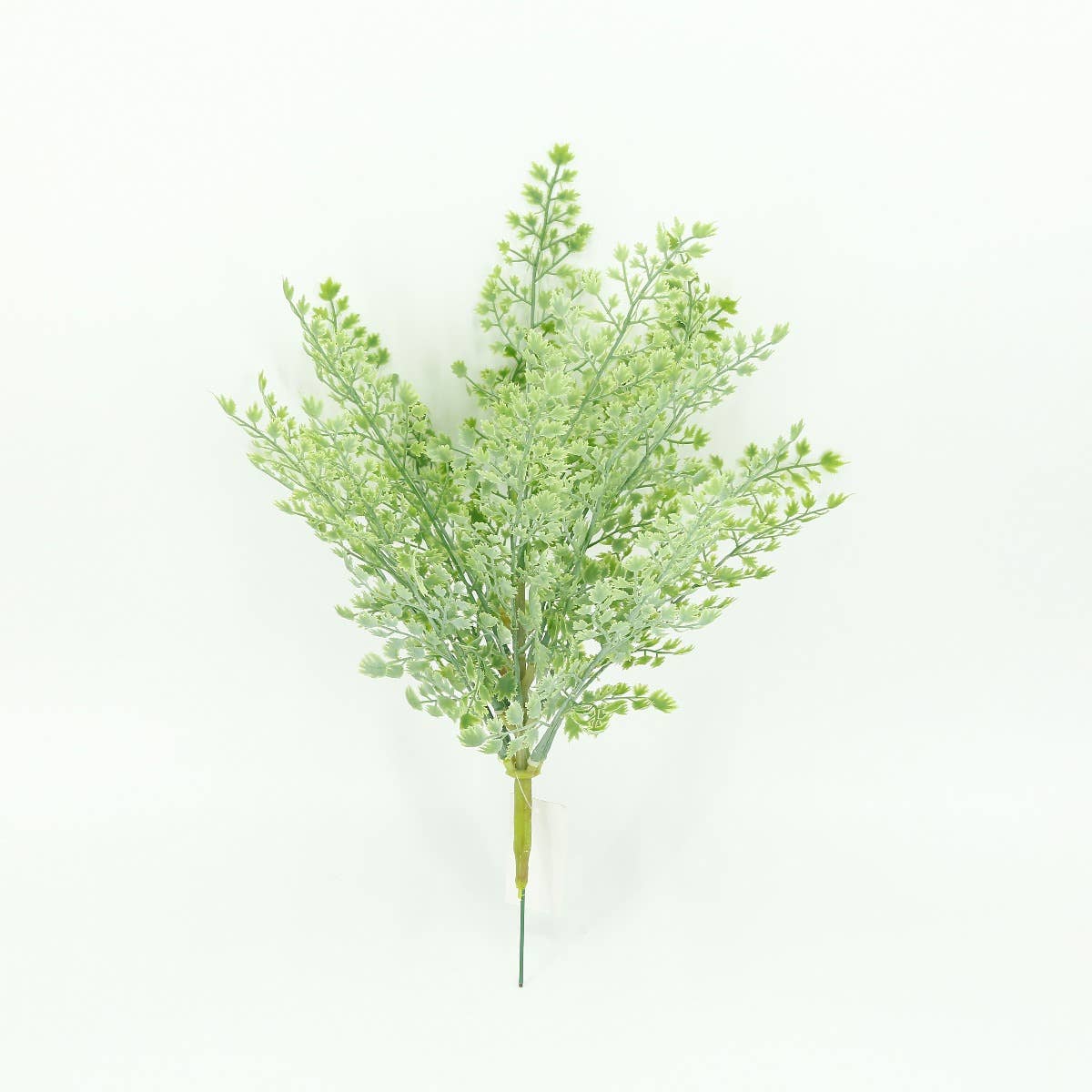 Frilly Fern Pick | The Crest Cafe & Shoppe